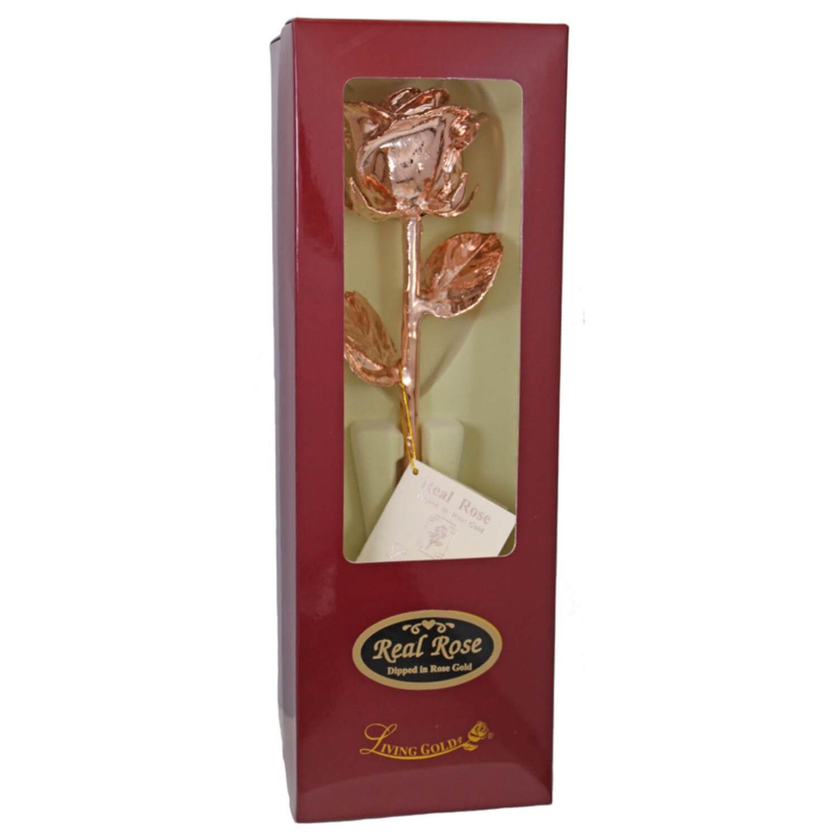 Venus Rose Gold 24K Gold Dipped Rose – Robert Irwin Jewelers